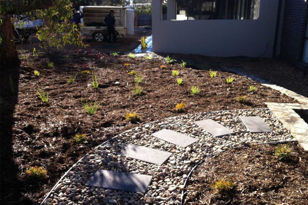 Landscaped garden with path in Hawker - Phillips Landscapes