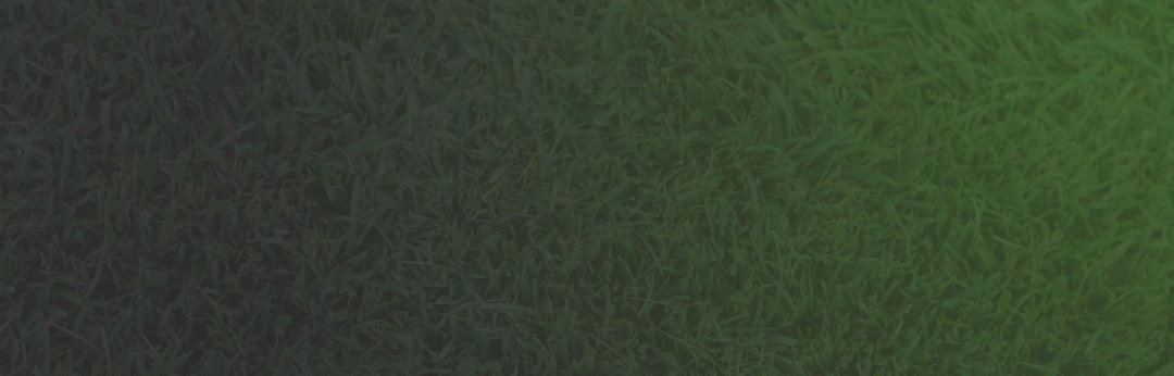 grass-header-background - Phillips Landscapes